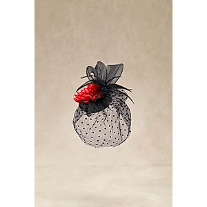 BABEYOND Fascinator Hat Veil Feather Fascinators Hair Clip Tea Party Pillbox Derby Hat Fascinator Bridal Wedding Veil