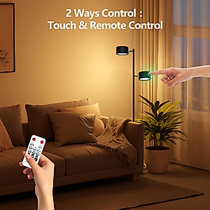 Floor Lamps,LED Tall Standing Pole Lights with Touch&Remote Control, Rechargeable Battery, Standard Dloor lamp with 3 Color Tempes&3 Brightness,RGB&4 Ambience Modes for Reading/Living Room/Sofa/Gaming