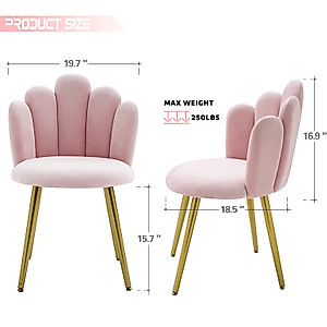 BOWTHY Vanity Chair for Makeup Room - Midcentury Modern Accent Velvet Chair with Back Support, Gold Legs for Living Room Bedroom (Pink)