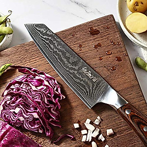 Latim's Professional Chef Knife 8 inch，Damascus Kitchen Knives Made of Japanese VG-10 Stainless Steel with Unique Pattern，Ultra Sharp Blade and Ergonomic Handle