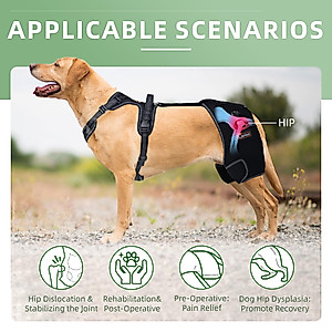 KERBIY LISPOO Dog Hip Support Brace for Hip Dysplasia,Hip Joint Pain, Hip Brace for Dogs with Low Back Pain/Weakness, Dog Hip Dysplasia Brace Warm Hip Joint to Relieves Pain, Dog Hip Brace(XXL)