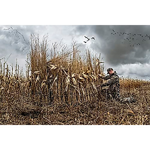 Avian-X G-Blind 4-Person Hunting Blind | Unique G-Shaped Frame Waterfowl Blind in Mossy Oak Shadow Grass Habitats Camo