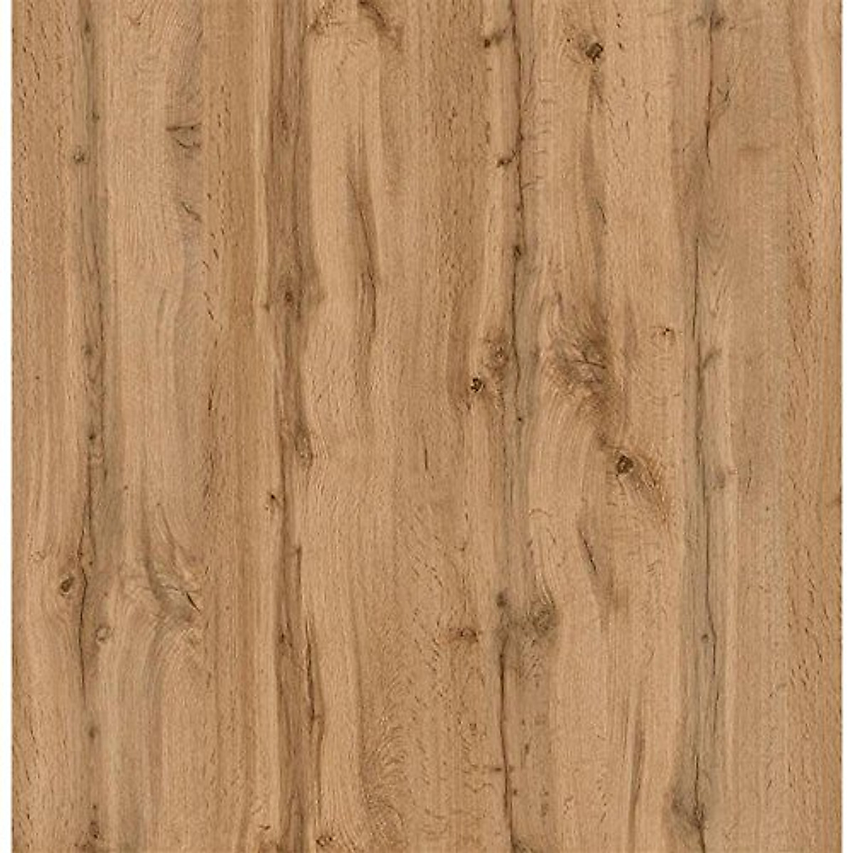 Mobili Fiver, Iacopo XS Bookcase (63.31 x 31.5 in), Rustic Oak, Made in Italy