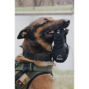 Walker's Razor Slim Electronic Shooting Hearing Protection Muff (Sound Amplification and Suppression) with Protective Case, Black Patriot Bundle