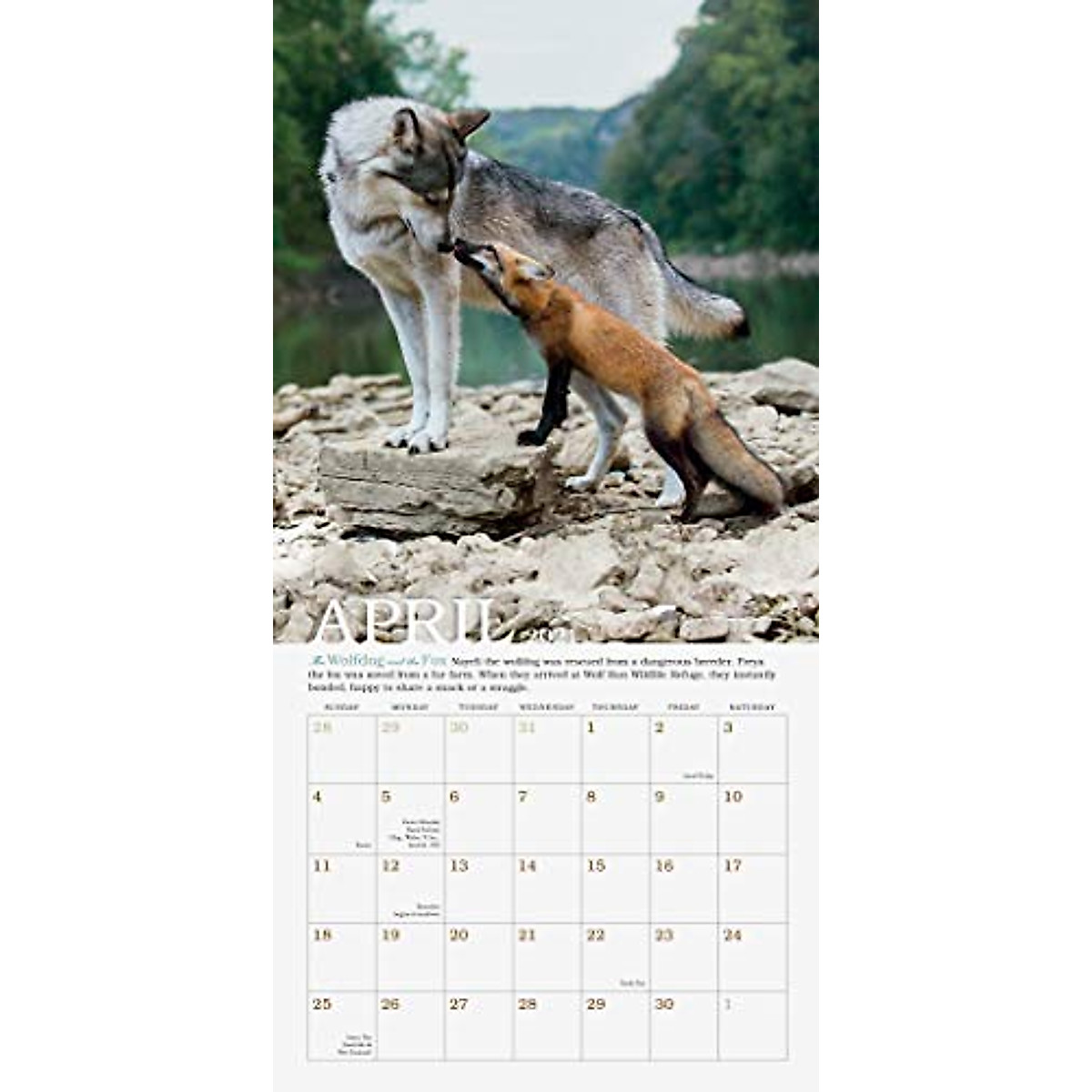 Unlikely Friendships Mini Wall Calendar 2021