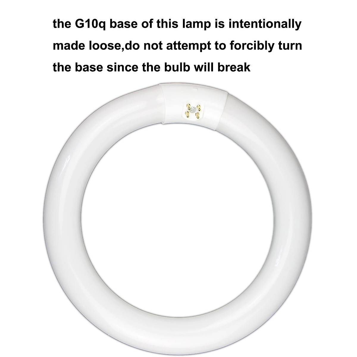 CHKADAWA Circular Bulb FC8T9/DL, 8 Inch T9 22W Circline Fluorescent Light Bulbs, Replacement Round Fluorescent Lamp Tube, Bright Daylight 6400K 1250 Lumens, G10q 4 Pin Base, 2 Pack