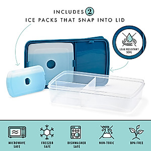 LOTG by Fit + Fresh Bento Box Kit, Three-Compartment Lunch Container Includes 2 Slim Ice Packs, Reusable & Leak-Resistant, Perfect for Insulated Lunch Bag, Lunch Box & More, Navy