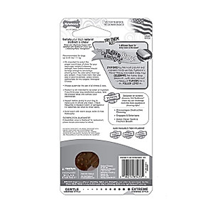 Nylabone Power Chew Flavor Frenzy Dental Bone Chew Toy for Dogs, Indestructible Chew Toys for Aggressive Chewers, Philly Cheesesteak Flavor, Small/Regular - Up to 25 Ibs. (1 Count)