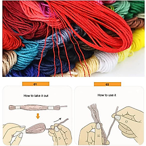 Premium Rainbow Color Embroidery Floss with Cotton for Cross Stitch Threads, Bracelet Yarn, Craft Floss, Aroic Embroidery Floss Set (250 Colors)