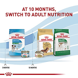 Royal Canin Size Health Nutrition Small Puppy Thin Slices in Gravy Wet Dog Food, 5.1 oz 24-Pack