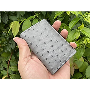 Doubleside Grey Body Ostrich leather skin Credit Cardholder, leather credit cardcase, leather creditcard cover