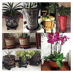 Cute Furniture Wooden Display Stands Heavy Duty Plant Stand with Wheels, Round Plant Caddy On - Outdoor Flower Pot Rack On Rollers - Indoor Dolly Holder Rolling Tray Coas