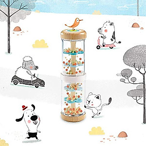 DJECO BabyRaini Infant Rattle