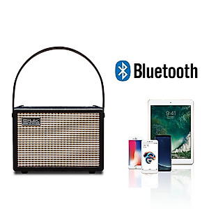 Acoustic/Electric Guitar Amplifier, 15 Watt Portable Bluetooth Amp for Guitar Acoustic/Electric with Reverb Effect, 2 Band EQ,Black