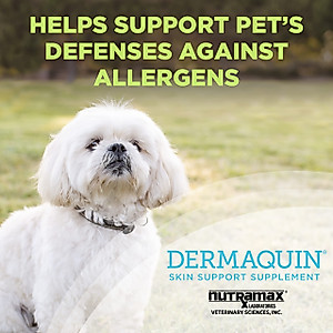Nutramax Laboratories Dermaquin Skin Support Sm/Med Dogs 5-30 lbs & Cats 60 ct