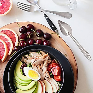 Hemoton 4.7inch Bird Stainless Steel Feeding Spoon, 6Pcs Special Bird Feeding Scoop Spoons, Hand Feeding Spoons for Peony Cockatiel Parrot