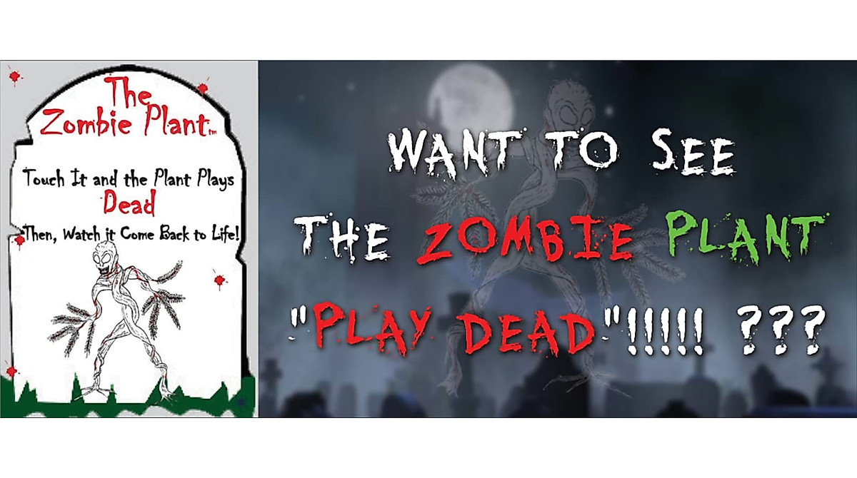 Grow Real Zombie Plants - Unique Fun Activity Pack