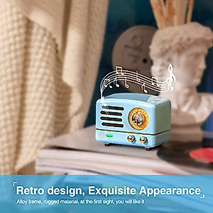 Muzen OTR Metal Portable Bluetooth Speaker with Retro knob Tuner FM Radio, Also with Suitcase Gift Case, Wireless Bluetooth Speaker with Loud Stereo Sound, for Home Outdoor Travel