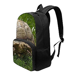 Parprinty Kids Funny Animal Tortoise Backpack for Boys Girls Comfy Padded Lightweight Sturdy Student School Backpack with Front Pocket Double Zipper 17 Inch Kids Basic Black Daypack Bookbag