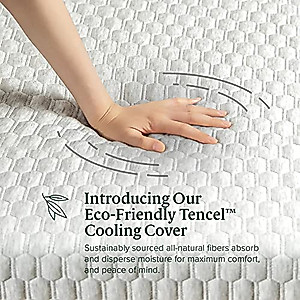 ZINUS 10 Inch Bliss Memory Foam Mattress Sustainable TENCEL Blend Cover / Pressure Relieving / CertiPUR-US Certified / Bed-in-a-Box / All-New / Made in USA, Queen