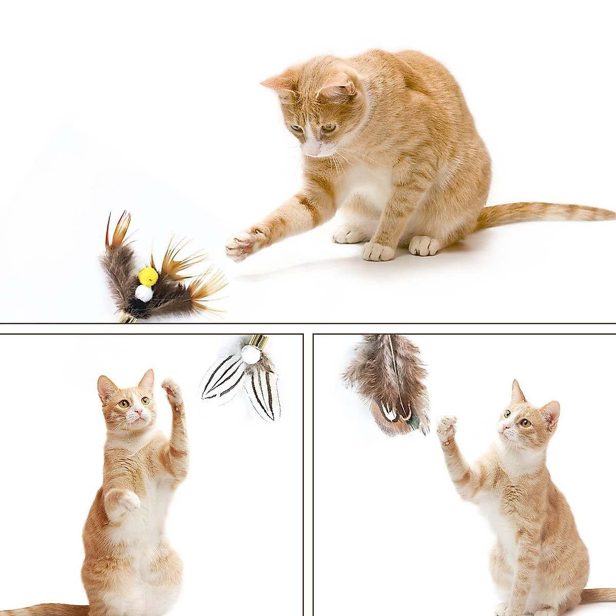 Hokoad Cat Insect Feather Toys Replacement Cat Toy Wand Refills, 6 Pieces Natural Insect Cat Toy Feathers Refill, Interactive Cat Teaser Wand Attachments, with Bell