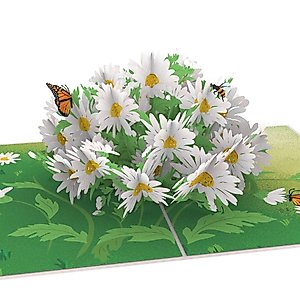 UNIPOP Daisy Pop Up Card, Birthday Card for Daughter, Flower Pop Up Card, Daisy Birthday Card, Birthday Card for Wife, Daisy Greeting Card