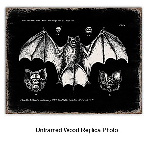 Black Bats Gothic Wall Decor - Vintage Retro Wall Art & Decor - Room or Home Decor - Hipster decoration - Horror Vampire bat Gift - Creepy Scary Anatomical Picture Poster print Set 8x10 UNFRAMED