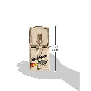 Pestguard TR1PDQ 803100 Rat Trap Wood PDQ Display 12PK, Brown