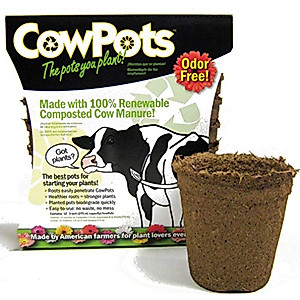 CowPots TV208926 3" Round Cow Pot Planter (12 Pack), 175mL