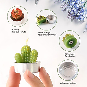 AIXIANG 12Pcs Cactus Candles Succulent Candles, Wedding Party Favors for Guests, Bridal Shower Candles Favors