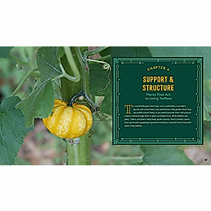 Plant Partners: Science-Based Companion Planting Strategies for the Vegetable Garden