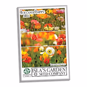 Iceland Poppy Seeds Flower Mix, 3000 Heirloom Flower Seeds Per Packet, Non GMO Seeds, Botanical Name: Papaver nudicaule, Isla's Garden Seeds