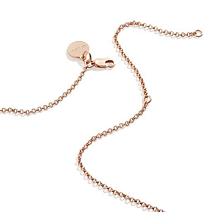 Alex and Ani Path of Symbols Adjustable Necklace for Women, Path of Life Duo Charm, Shiny Rose Gold Finish, 15.5 to 18.75 inches