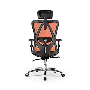 HOUKAI Executive Office Chair - High Back Office Chair with Footrest and Thick Padding - Reclining Computer Chair with Ergonomic Segmented Back, Black
