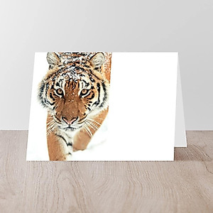 CafePress Snow Tiger Greeting Cards Folded Greeting Card Glossy
