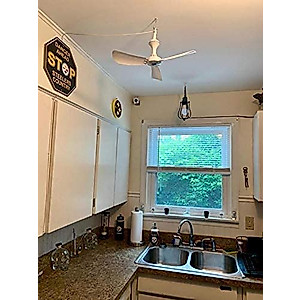 BSTJXDZ 110V Mute Electric Ceiling Fan outdoor gazebo fan indoor bedroom living room air circulation quiet ceiling fan