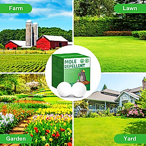 24pack Mole Repellent, Mouse Repellent, Groundhog Repellent, Gopher Repellent, Vole Repellent for Lawn Garden Yard Outdoor, Armadillo Repellent, Mole Deterrent