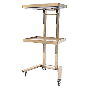 Xuthusman 2-Tier Foldable Tray Trolley Salon 4-Wheel Rolling Cart Utility Storage Shelves Holder with Service Tray Stainless Steel (Gold)