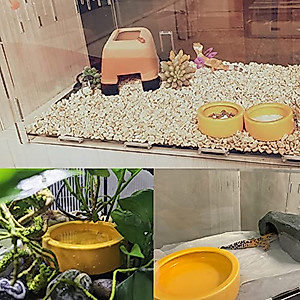 2 Pack Reptile Food Bowls Mini Ceramic Water Feeder Bowl Anti-Escape Mini Reptile Feeder for Lizard Anoles Bearded Dragons Crested Gecko Hermit Crabs