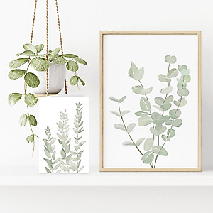 JarThenaAMCS 36 Pack Greenery Greeting Cards Watercolor Green Eucalyptus Leaves Note Cards with Envelopes Stickers Bulk Spring Summer Blank Cards for Birthday Wedding Baby Shower Bridal Shower