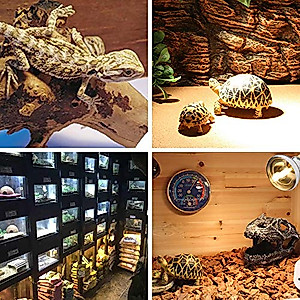 HANJION 100W Reptile UVA Infrared Basking Spot Lamp,Full Spectrum Sun Soft Lighting Heat Bulbs,Bearded Dragon Light Bulbs for Reptile & Amphibian,Silver-2 Pack