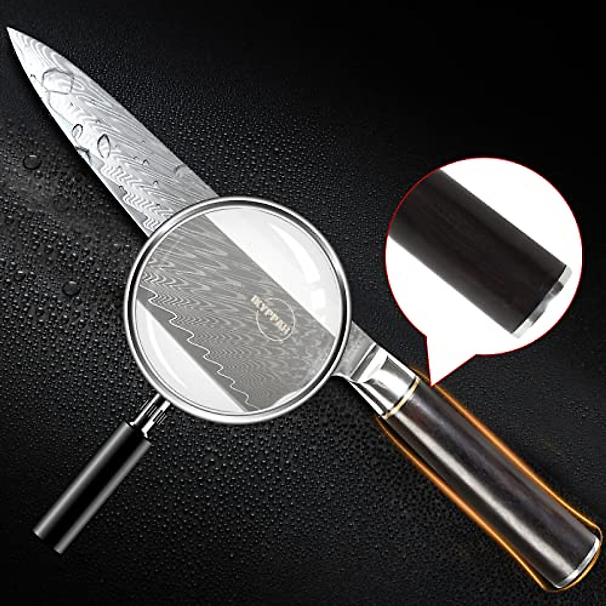 IKYPPAH Damascus Chef Knife 8 Inch, Japanese Aus10 Steel and Ebony handle,in Gift Box