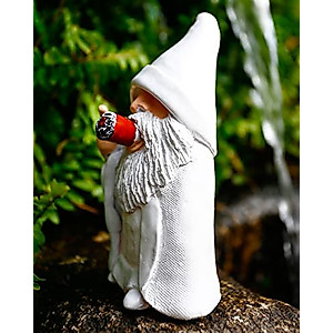 Karoter Middle Finger Figurine, Naughty Smoking Wizard Gnome, 5.9 Inch Gnomes Garden Decorations, Garden Gnomes Statue Outdoor, Funny Figurine for Lawn Yard Balcony Porch Patio Home Ornaments Outdoor