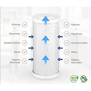 Whole House Compatible Big Blue Replacement Water Filters (4.5" x 10"): (1) Sediment - (1) Carbon Block Cartridge by Oceanic Water Systems