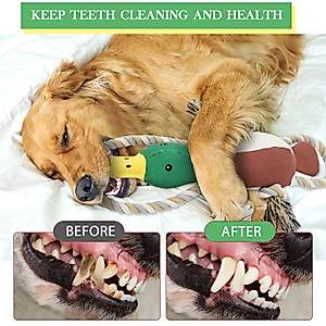 Lesmeet Upgraded Duck Dog Toys for Aggressive Chewers Puppy Toys with Crinkle Paper and Squeaker, Interactive Tug of War Dog Toy for Small, Medium, and Large Breeds