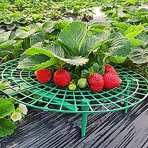 Medoore 5 Pack Strawberry Supports, Adjustable Strawberry Growing Racks Plant Climbing Rack Vine Pillar Garden Stand Balcony Vegetable Rack for Keeping Fruit Elevated to Avoid Ground Rot