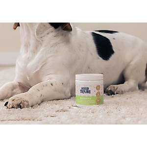 Good Trouble Pets Probiotic Supplement for Dogs - Chicken Flavor, 30 Chews - Enhanced Digestive Support