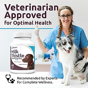 K9 Select Milk Thistle for Dogs, 100mg - 60 Beef Flavored Tablets - Canine Liver Health Natural Milk Thistle Supplement - Liver Supplement - Liver Support Supplement - Milk Thistle Herbal Supplements