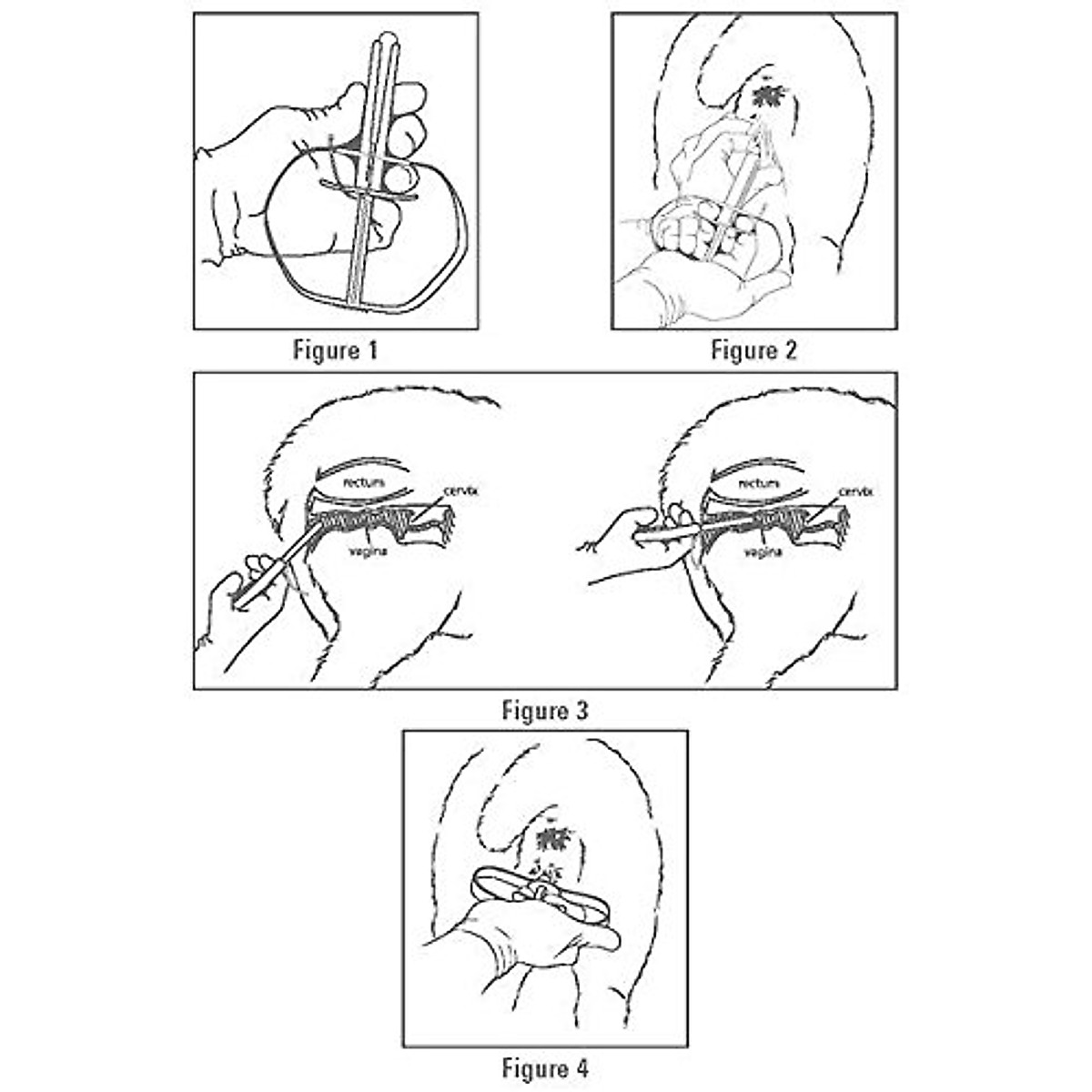 CIDR SHEEP APPLICATOR