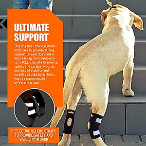 NeoAlly - Short Rear Leg Hock Brace, Dog Leg Brace for Rear Leg, Hock & Ankle Support, Dog Brace for Torn ACL & CCL, Dog Leg Sleeve with Reflective Straps, Small, Black, 1 Pair